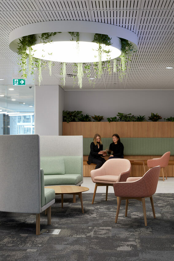 Siren Design - Tatjana Plitt